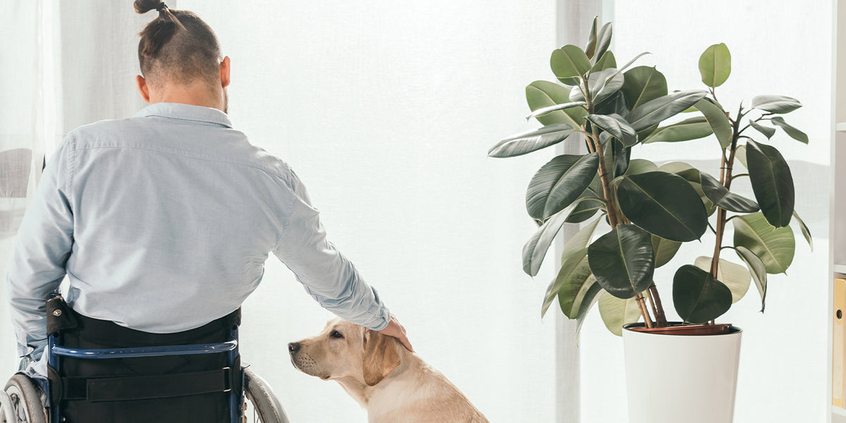 Five Lifehacks for People with Limited Mobility